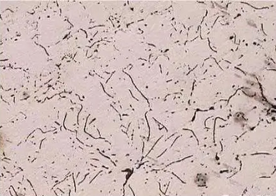 Different Types of Iron: Definition and Properties